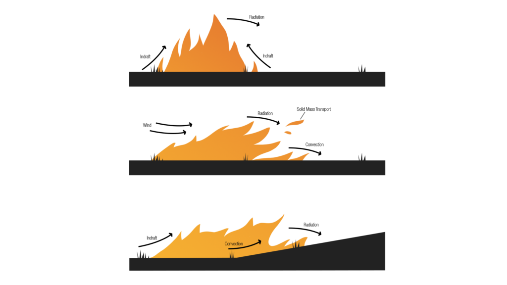 Top Summer Fire Culprits: BBQs & Cooking Appliances - Fire Seals Direct